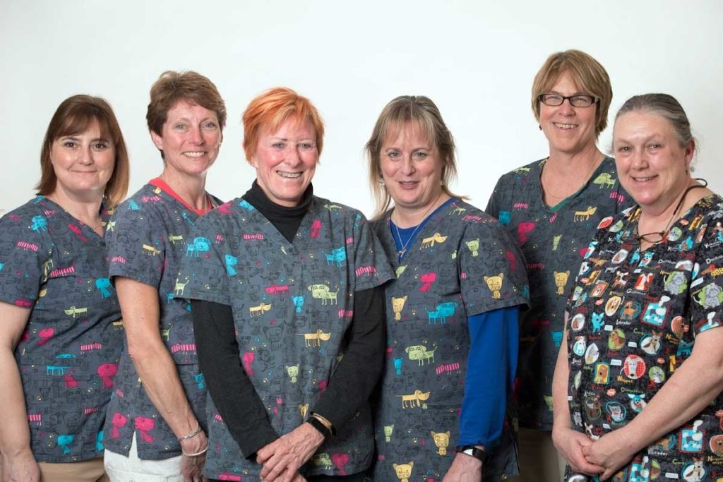 Staff - Valley Veterinary Hospital